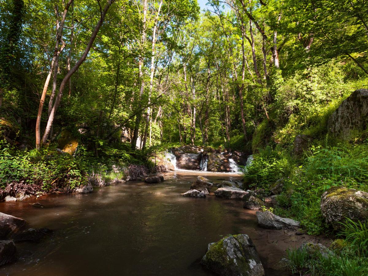 Forez Est | Loire Tourisme