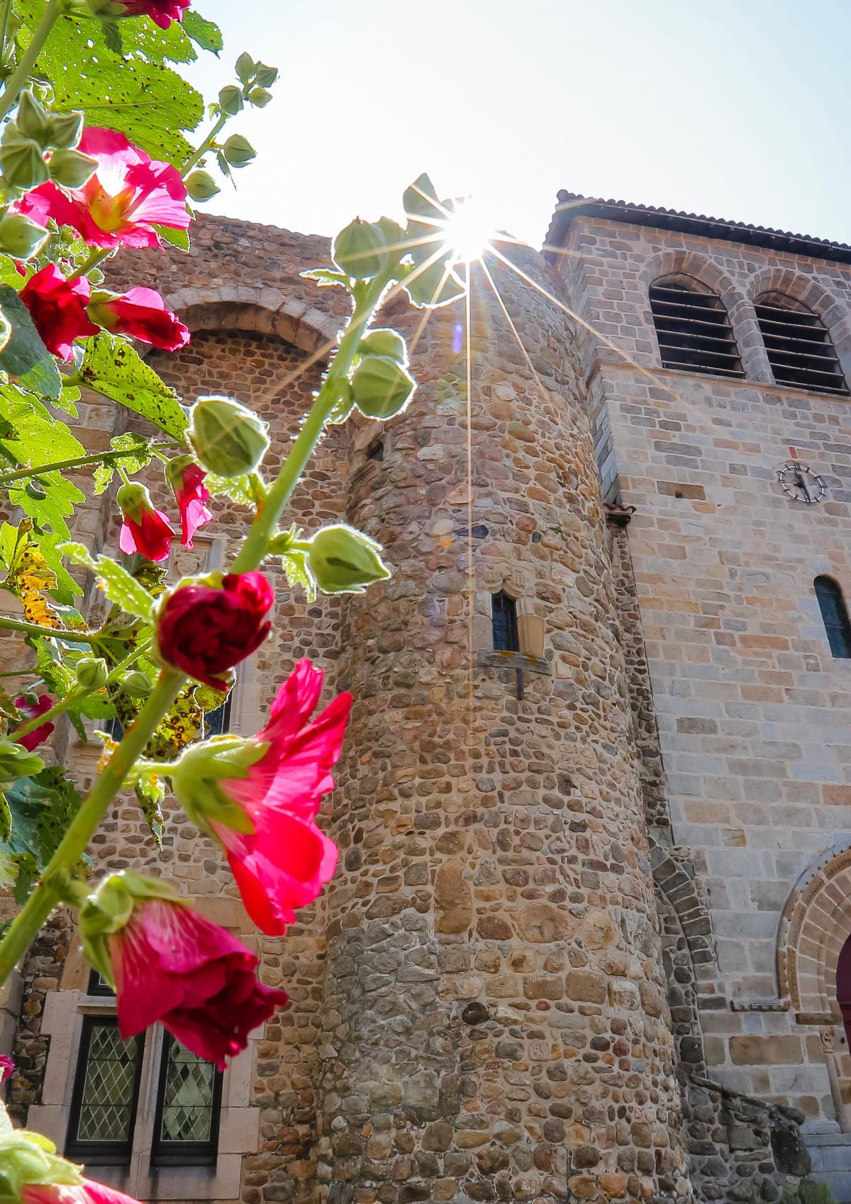 Loire Forez | Loire Tourisme