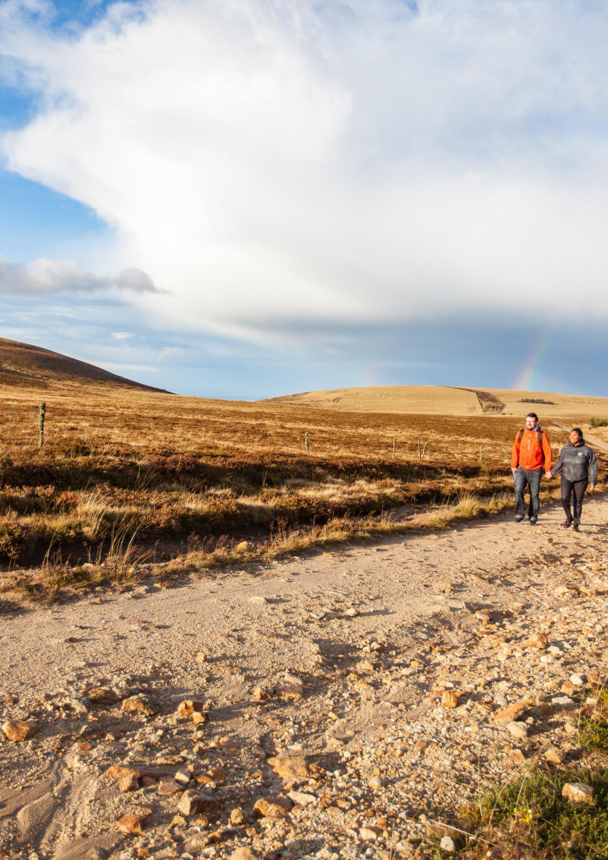 Loire Forez | Loire Tourisme