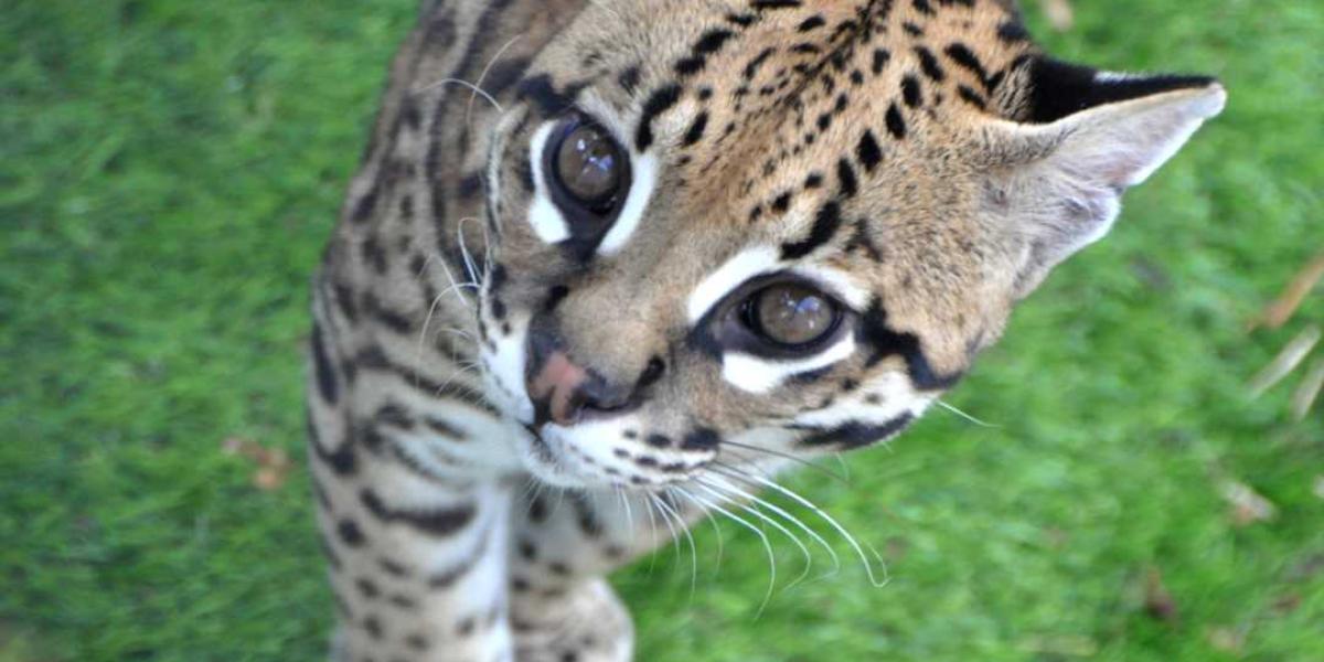 La Loire en famille | Loire Tourisme