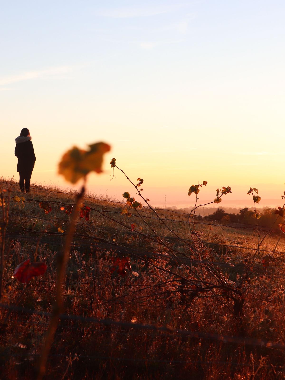 Parcours du col du Béal (Sail-sous-Couzan) | Loire Tourisme