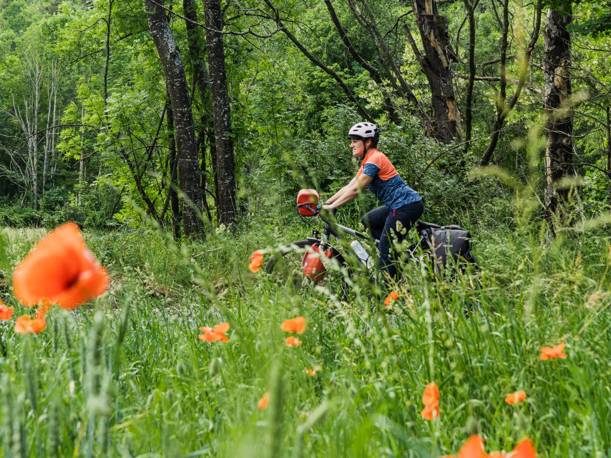 Site de loisirs Inside Park (Villars) | Loire Tourisme