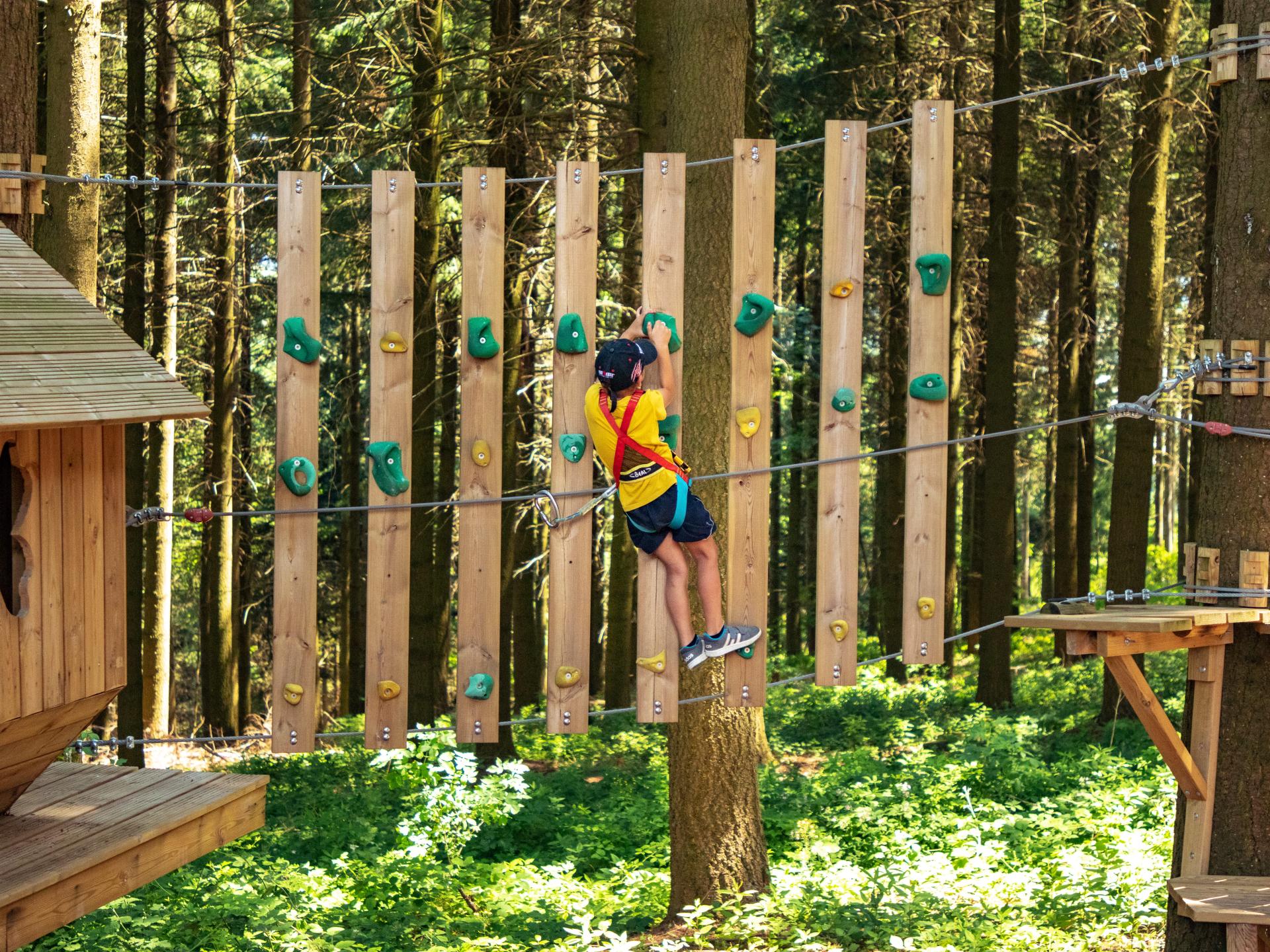 Les parcs accrobranches dans la Loire | Loire Tourisme