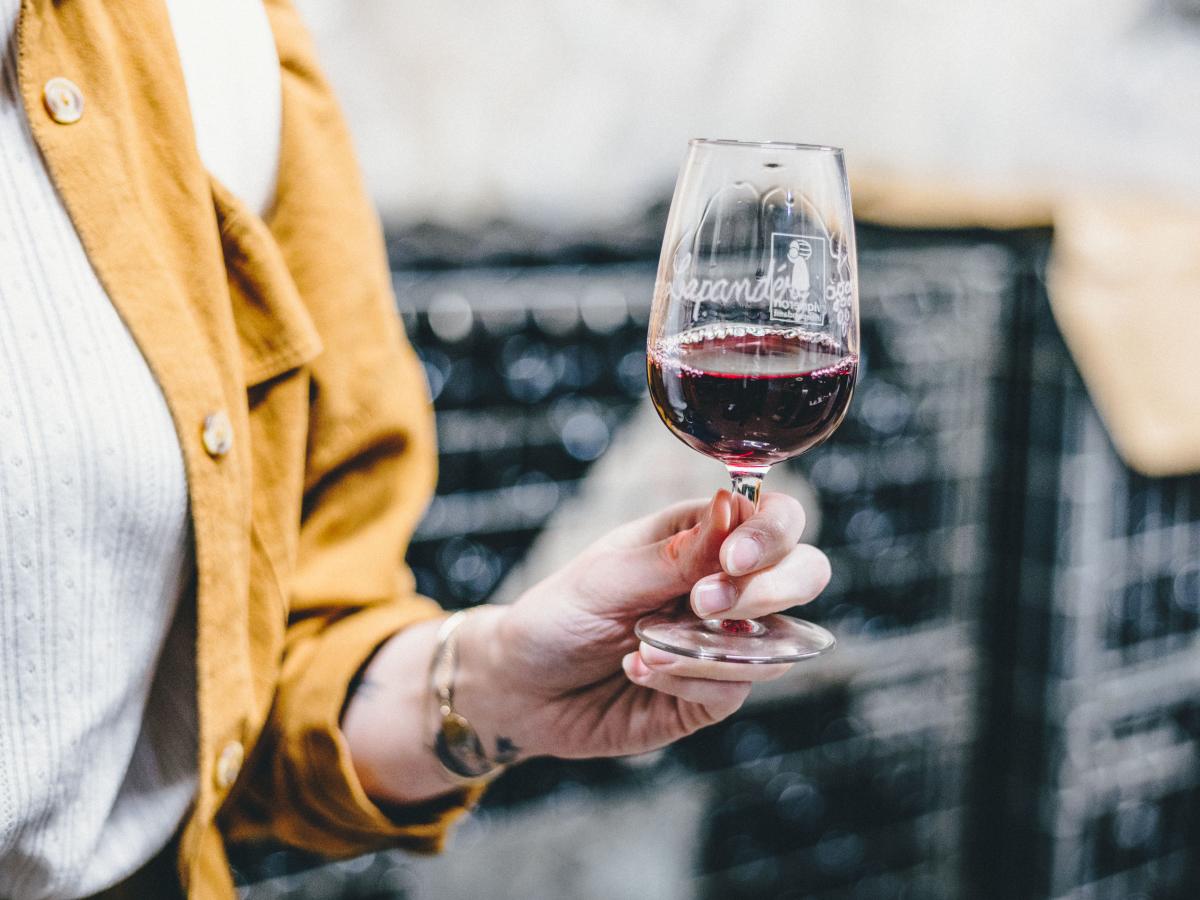 Site de loisirs Inside Park (Villars) | Loire Tourisme