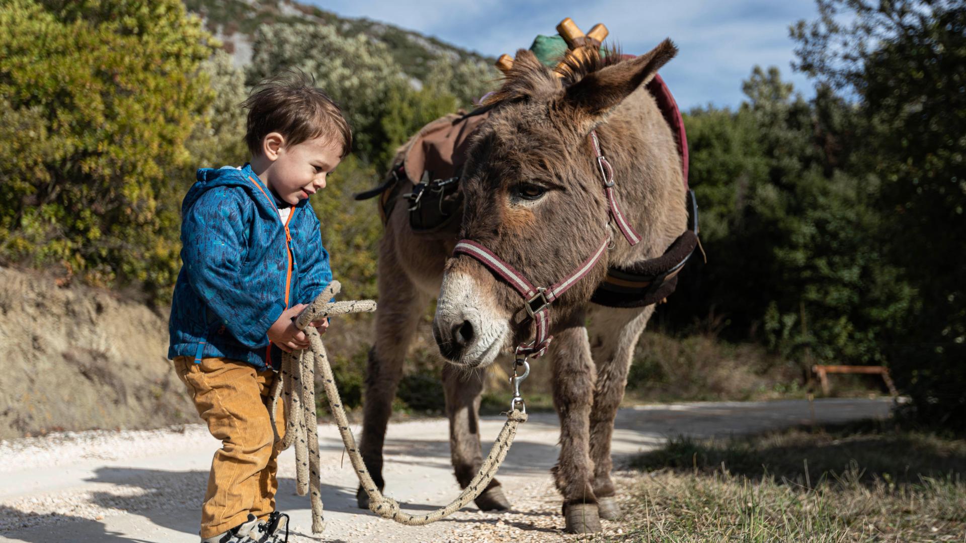 Equitation | Agly Fenouillèdes Tourisme
