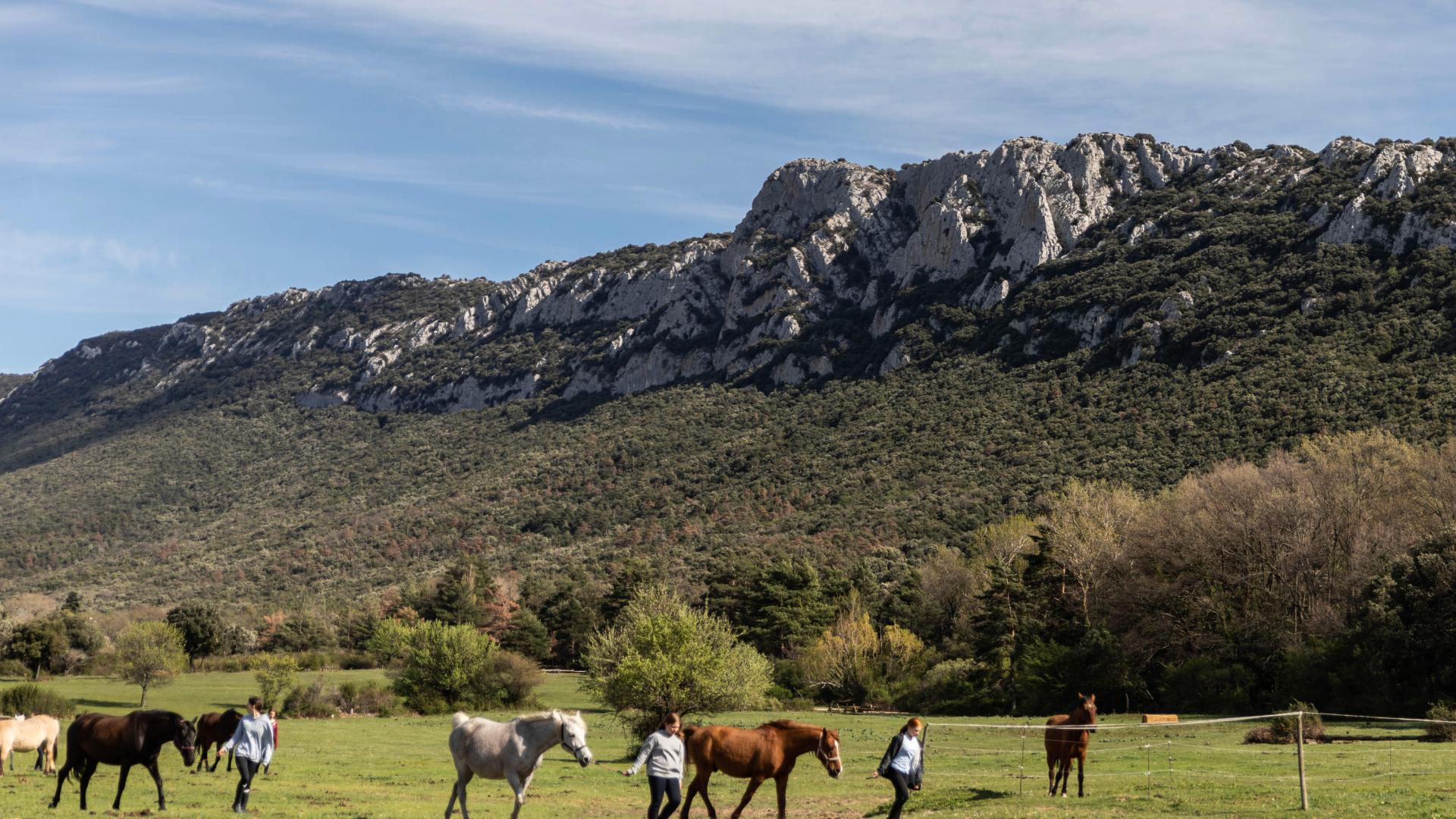 Riding | Agly Fenouillèdes Tourisme