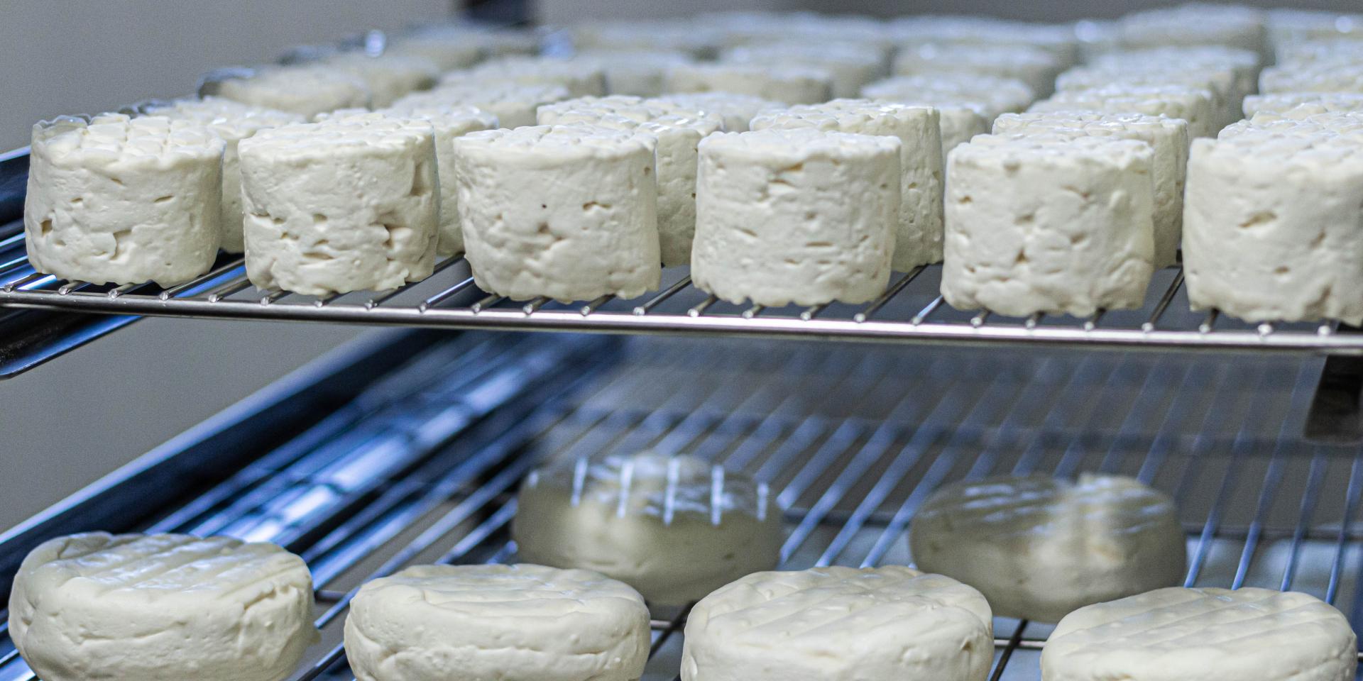 Productos locales | Agly Fenouillèdes Tourisme