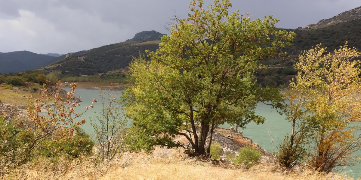 The lake on the Agly | Agly Fenouillèdes Tourisme