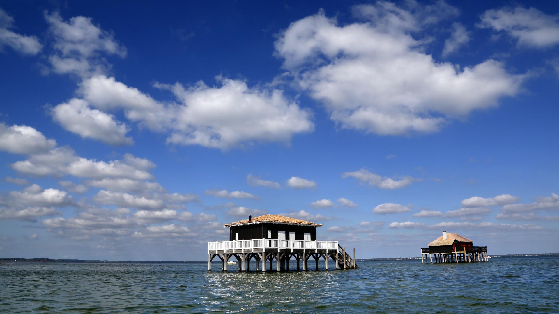 Retour sur les publications | Destination Arcachon