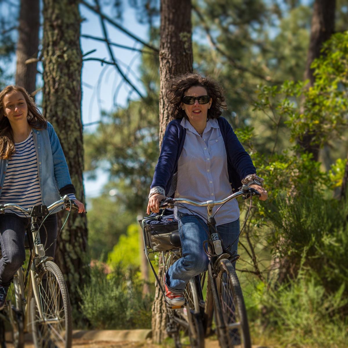 Balades en mer | Destination Arcachon