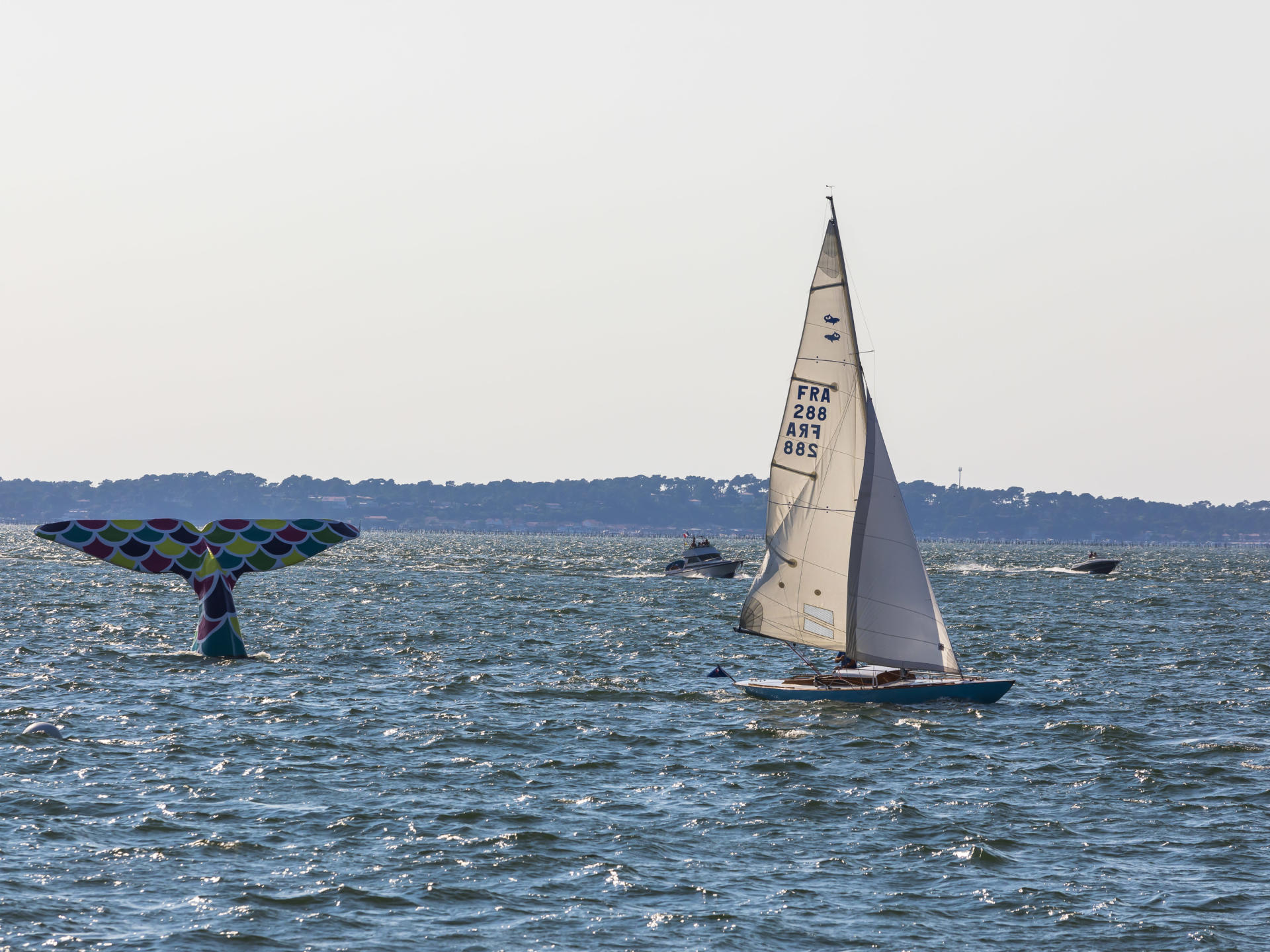 Balades en mer | Destination Arcachon