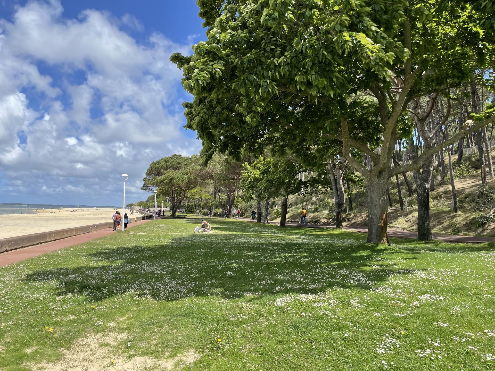 Tip Top One et Tip Top Too (Arcachon) | Destination Arcachon