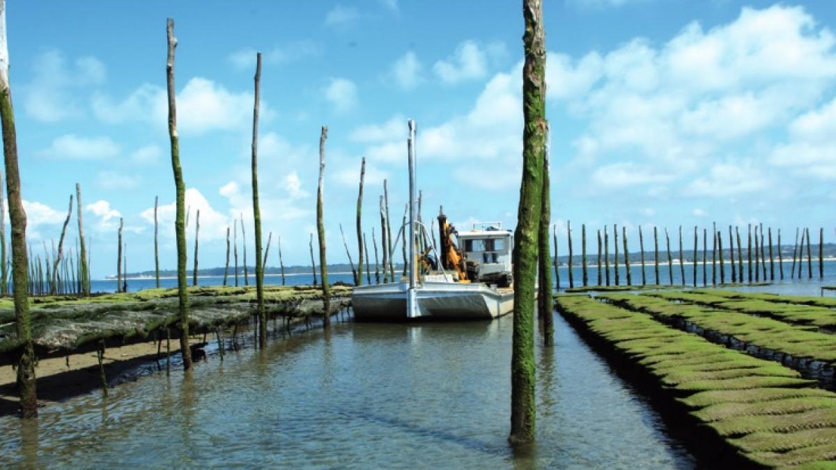 Offres exclusives | Destination Arcachon
