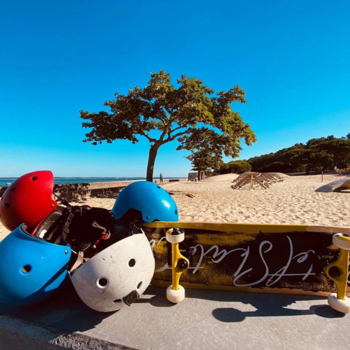 Fleur des pins (Arcachon) | Destination Arcachon