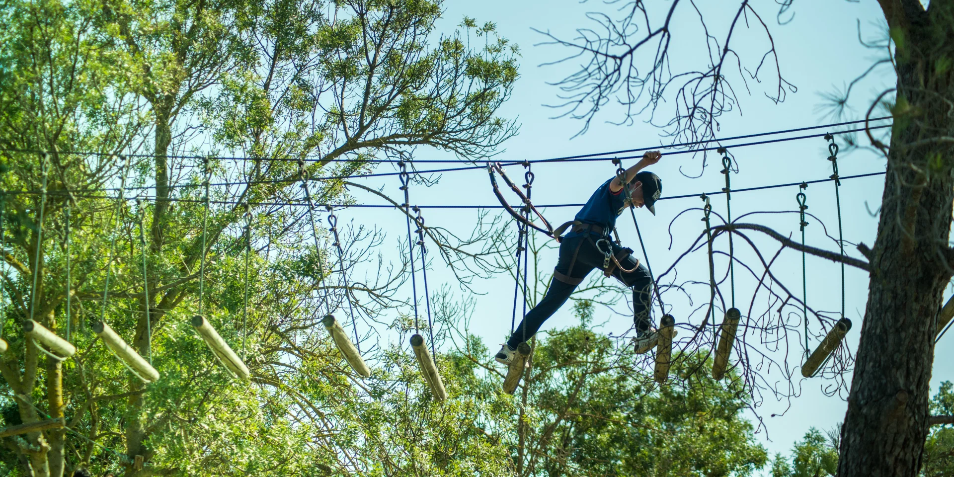 Baumklettern in Argelès-sur-Mer Accrobranche |Tourismusbüro Argelès-sur ...