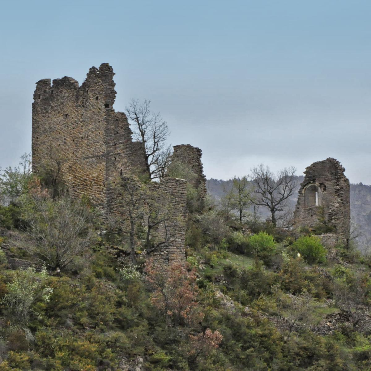 Château de la Caze | De l'Aubrac aux Gorges du Tarn