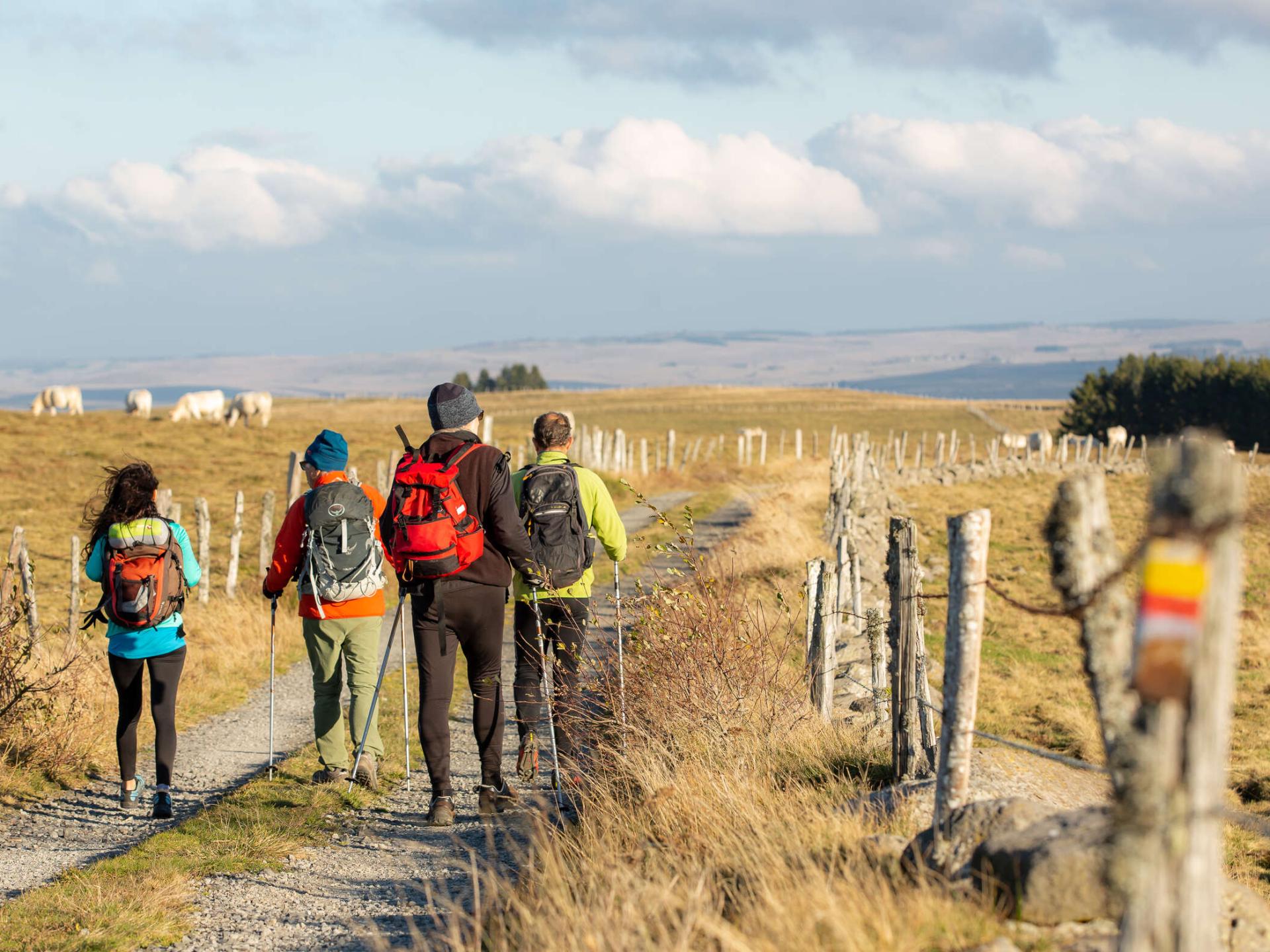 Bons gestes en rando et bivouac | De l'Aubrac aux Gorges du Tarn
