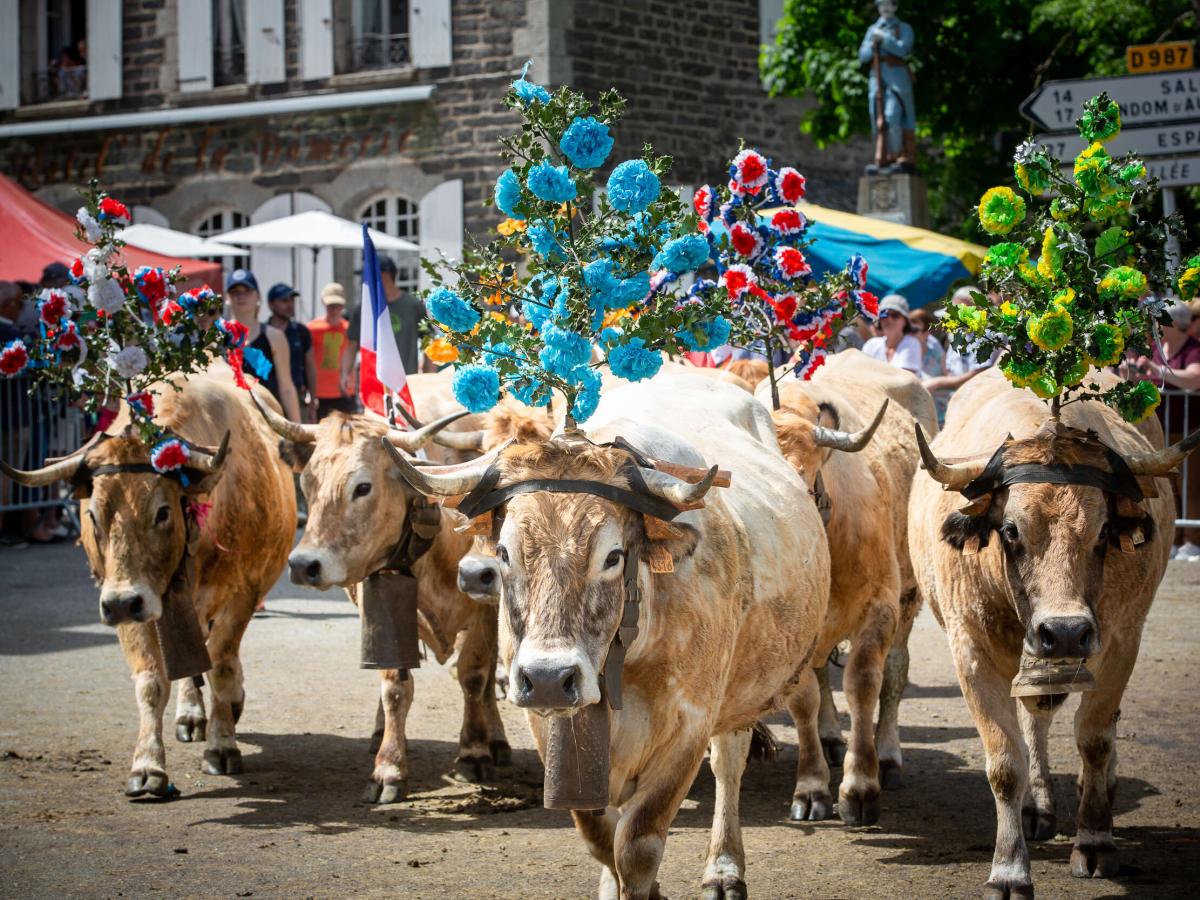 Aubrac | De l'Aubrac aux Gorges du Tarn