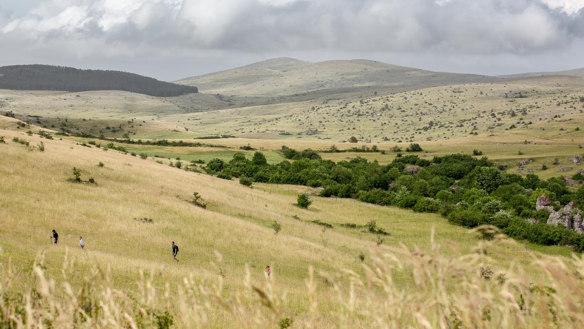 Chemin de Saint-Guilhem le Désert | De l'Aubrac aux Gorges du Tarn
