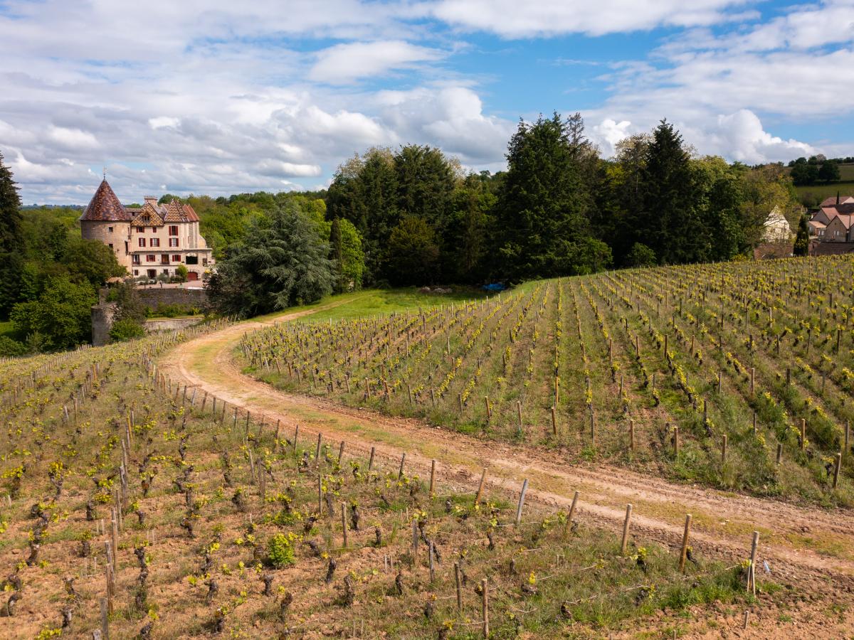 The wine raod and the Couchois | Office de tourisme d'Autun et du Grand ...