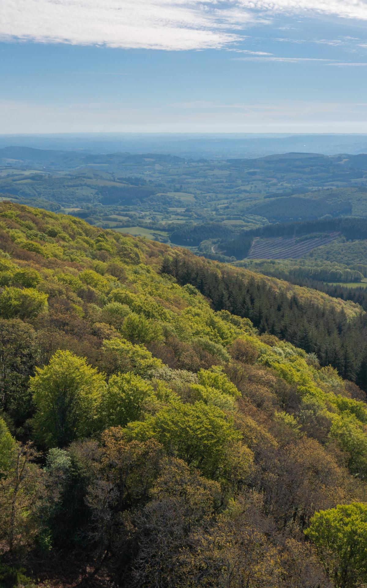 Bienvenue ! | Office de tourisme d'Autun et du Grand Autunois Morvan