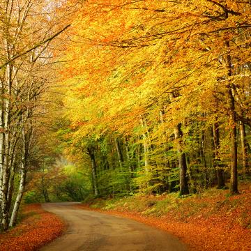 Bienvenue ! | Office de tourisme d'Autun et du Grand Autunois Morvan