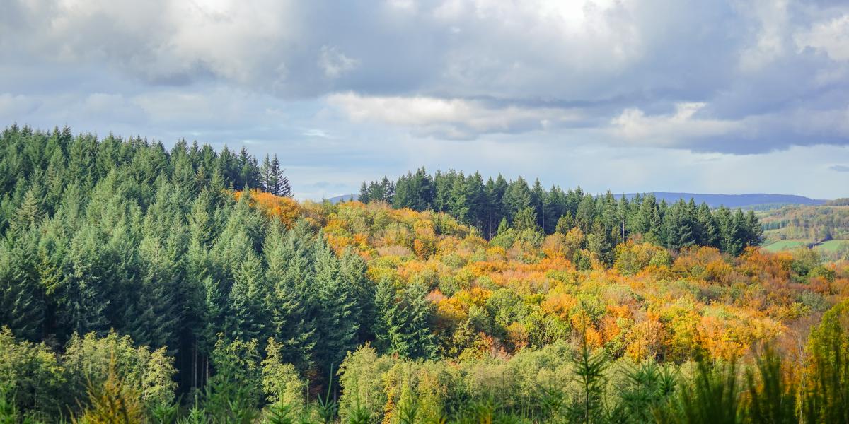Découvrez | Office de tourisme d'Autun et du Grand Autunois Morvan