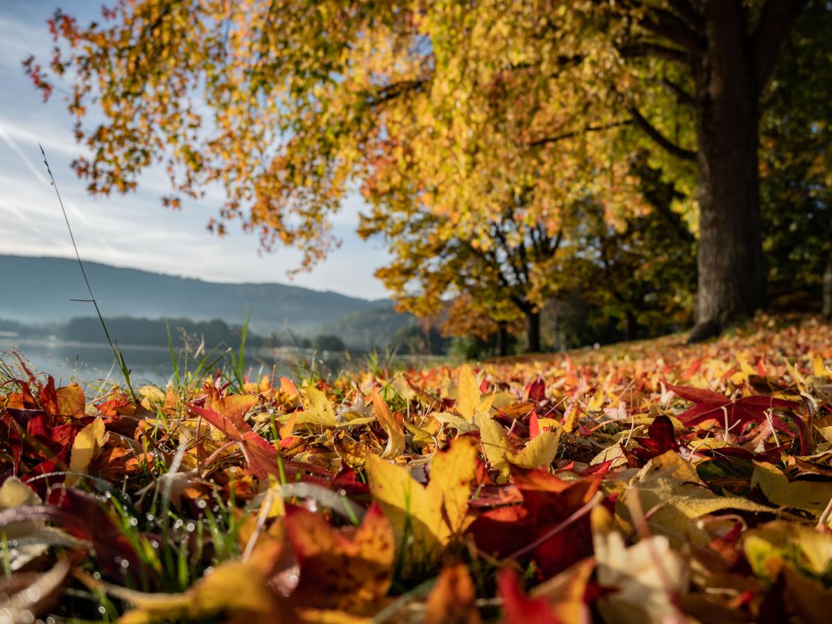 Bienvenue ! | Office de tourisme d'Autun et du Grand Autunois Morvan