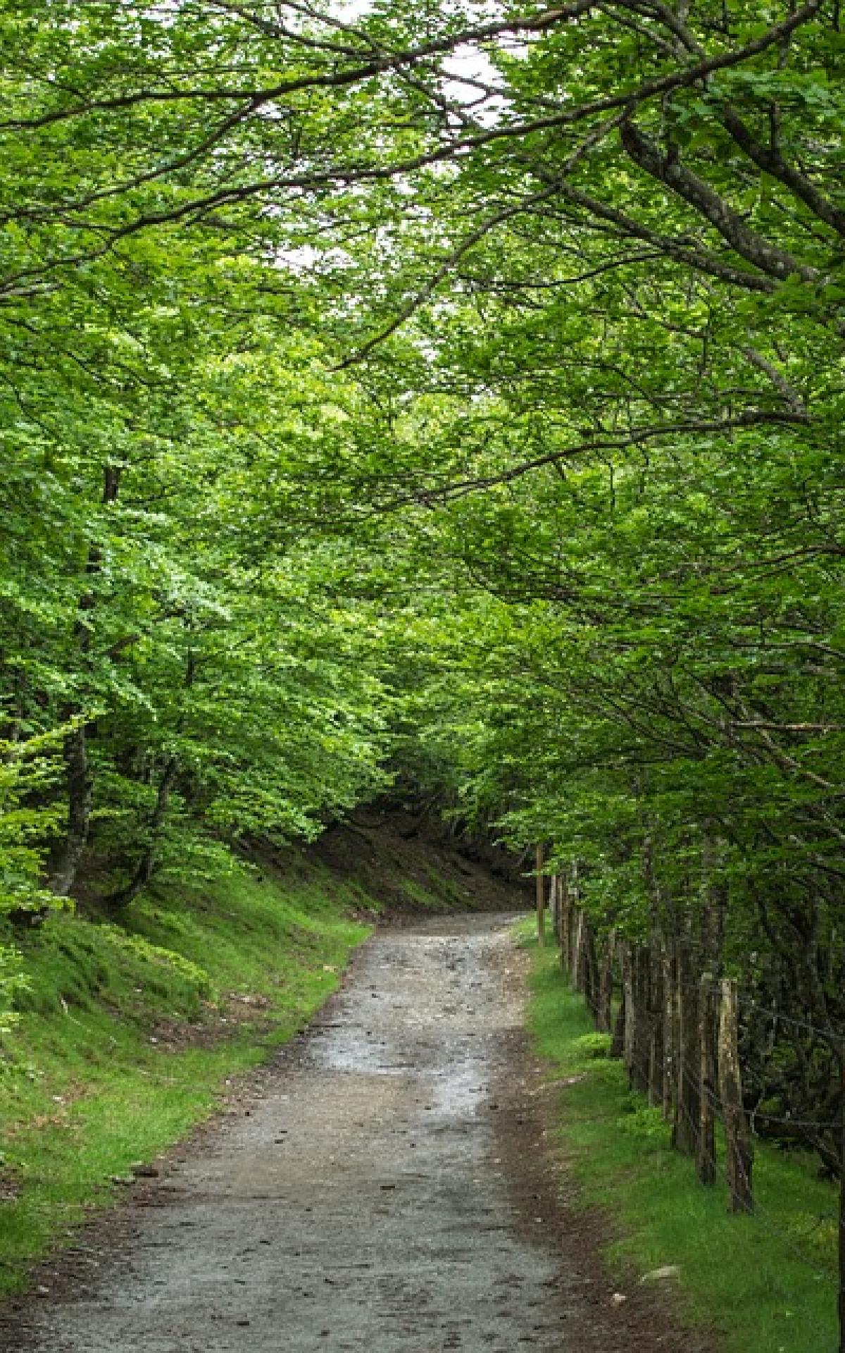 Circuits de randonnées à vélo Auxerre, Yonne, Bourgogne