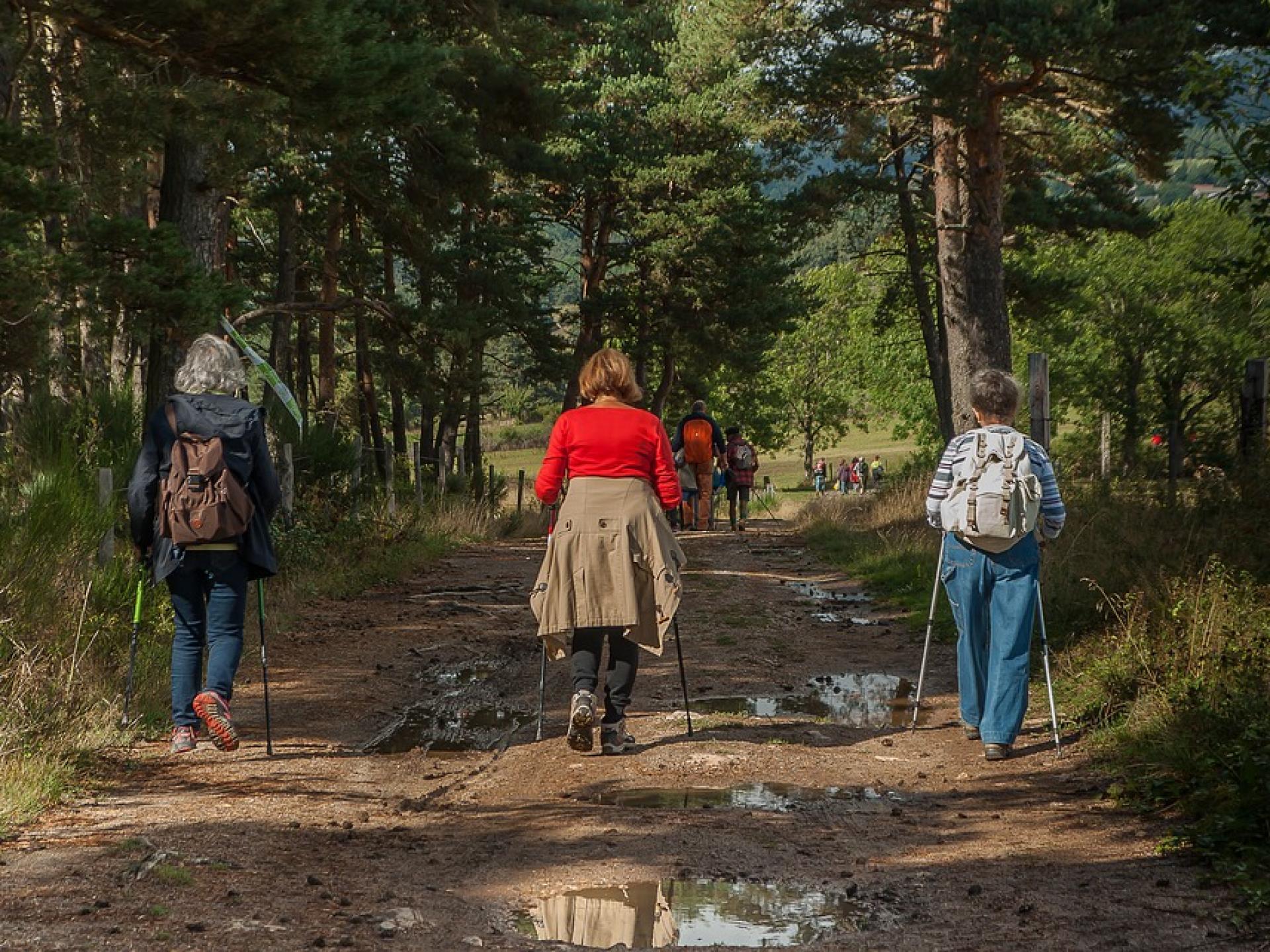 Balade à Auxerre : osez la promenade en ville