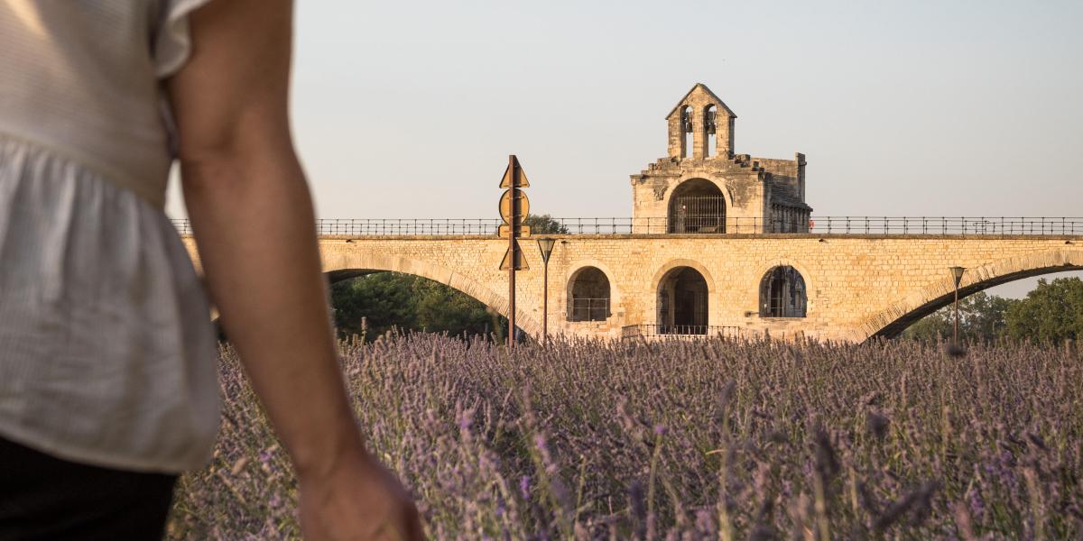 Palais des Papes, Pont d’Avignon, jardin méditerranéen… Le top 10 des spots « instagrammables ...