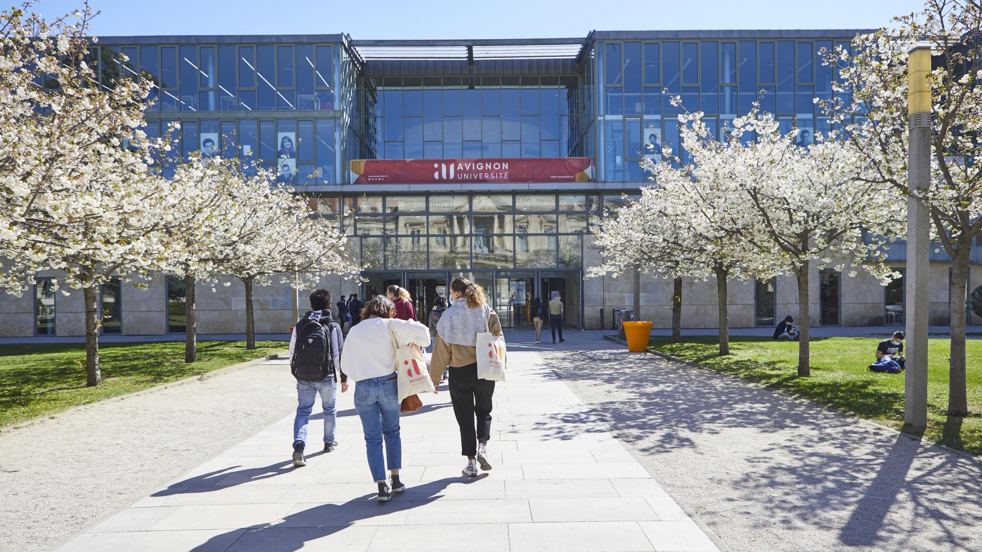 Studying in Avignon | Avignon Tourisme