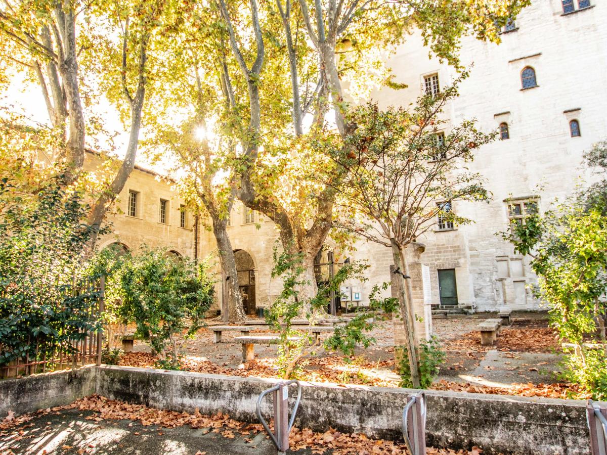 Barthelasse, Jardin des Doms, Jardin de Ceccano… Avignon’s top picnic ...