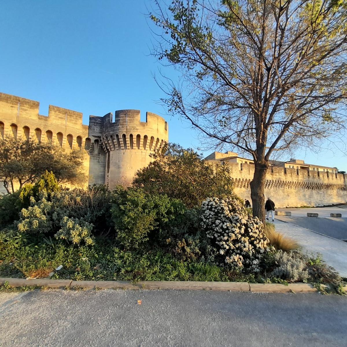 Avignon in 10 walks | Avignon Tourisme