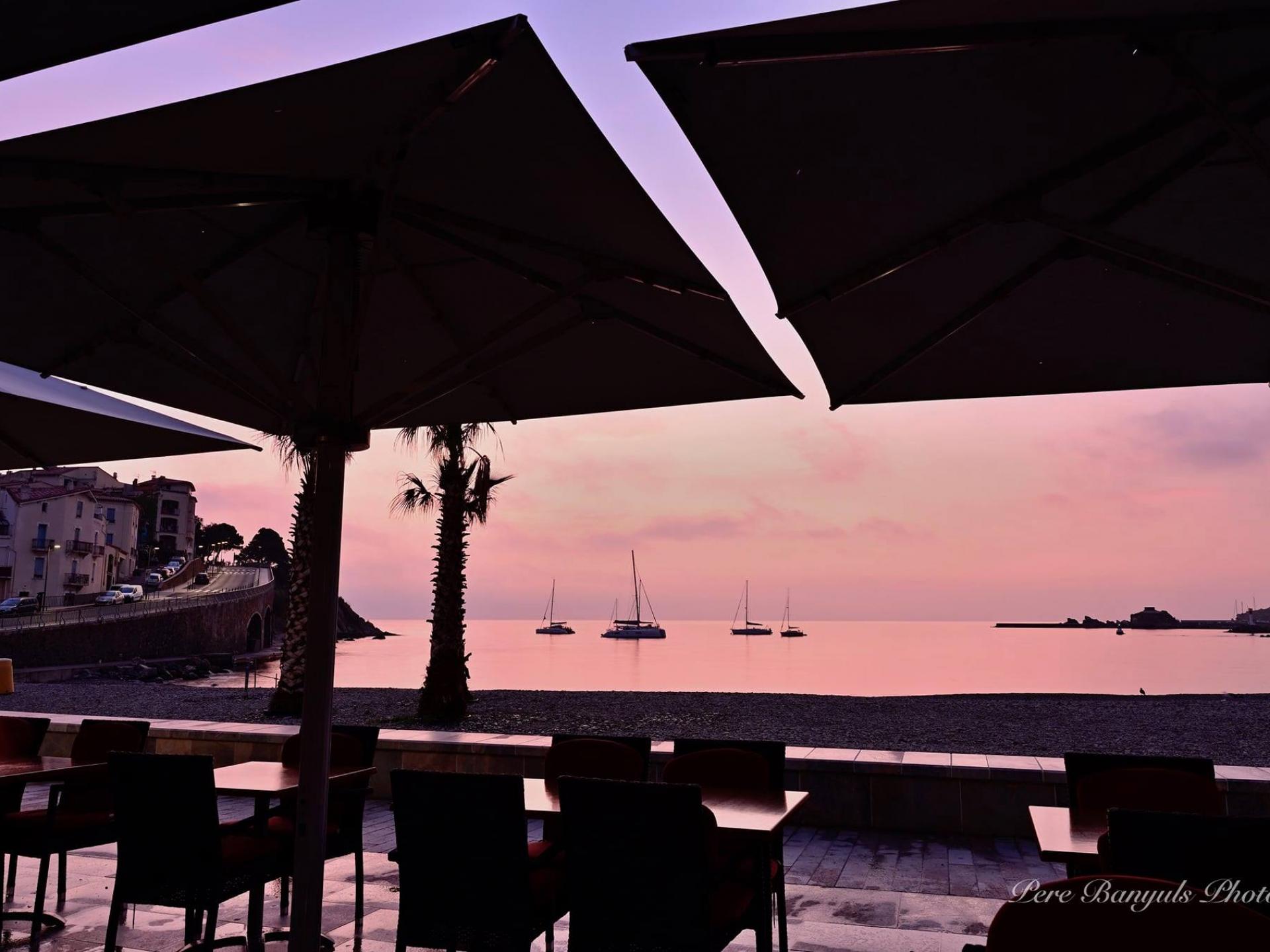 Tous les incontournables | Banyuls-sur-Mer