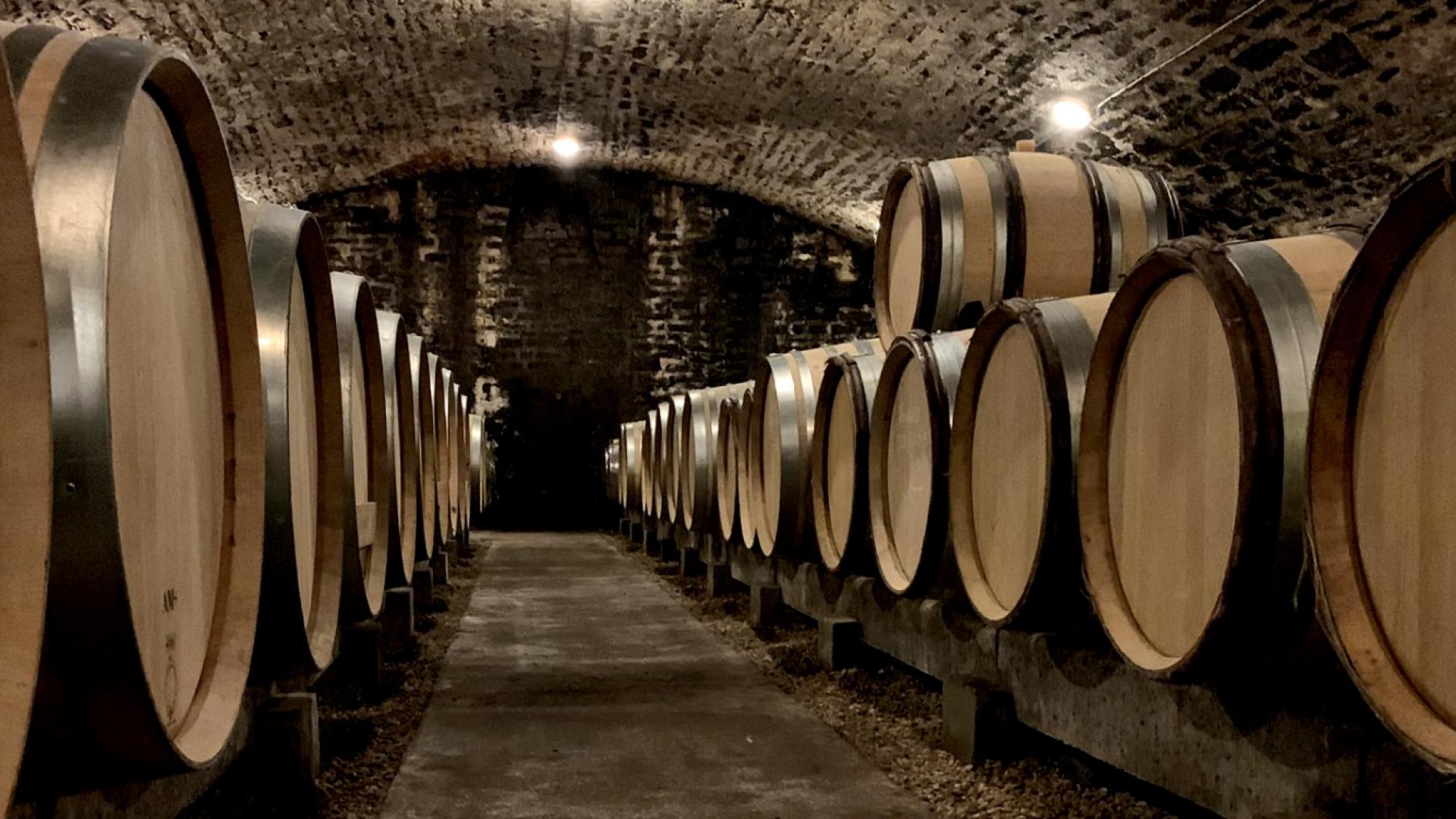 The Chemin des Grands Crus | Beaune and the Beaune region Tourism ...