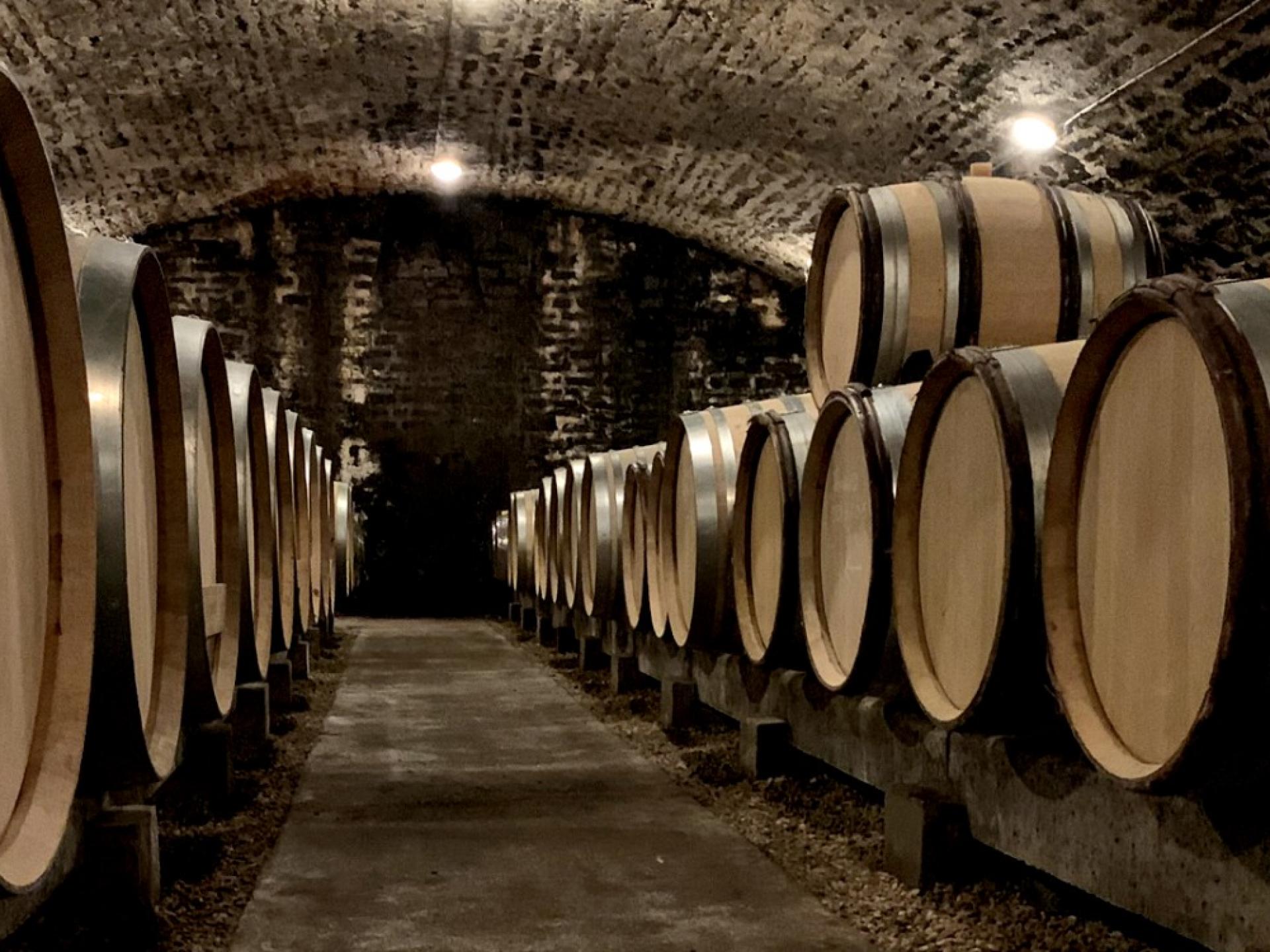 Surprenants vins de Bourgogne | Beaune et le Pays Beaunois Tourisme ...