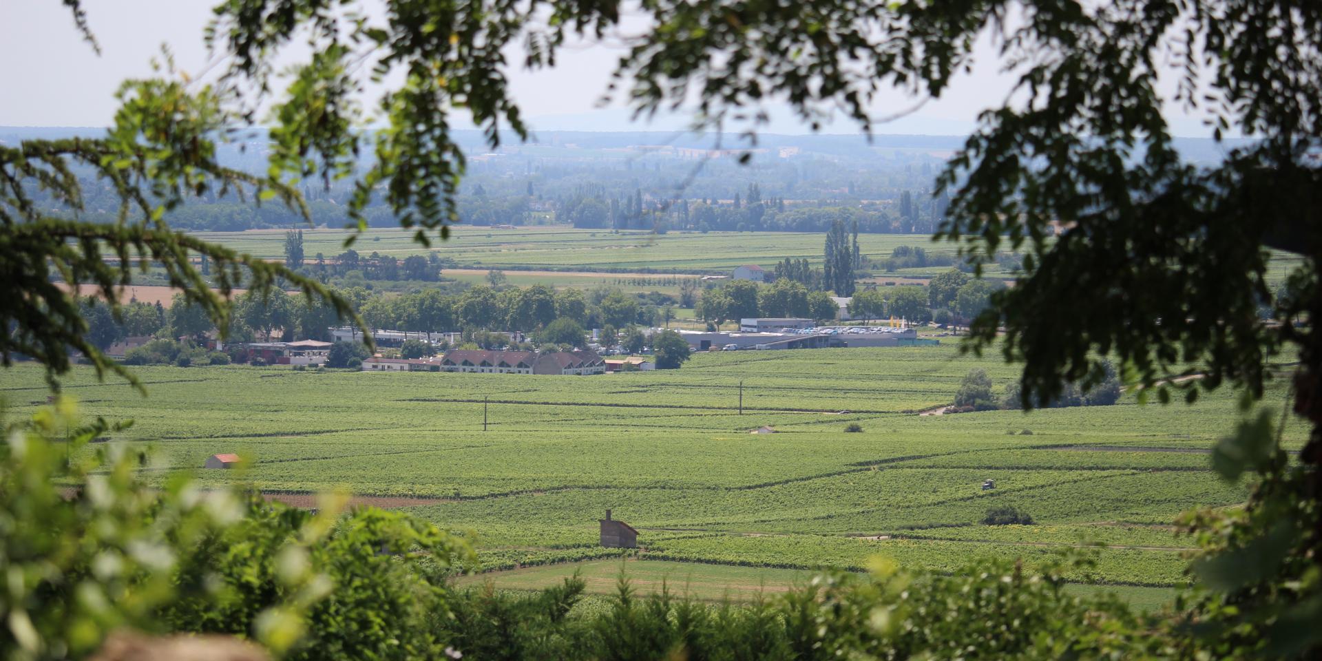 Nature and Hiking | Beaune and the Beaune region Tourism – Burgundy