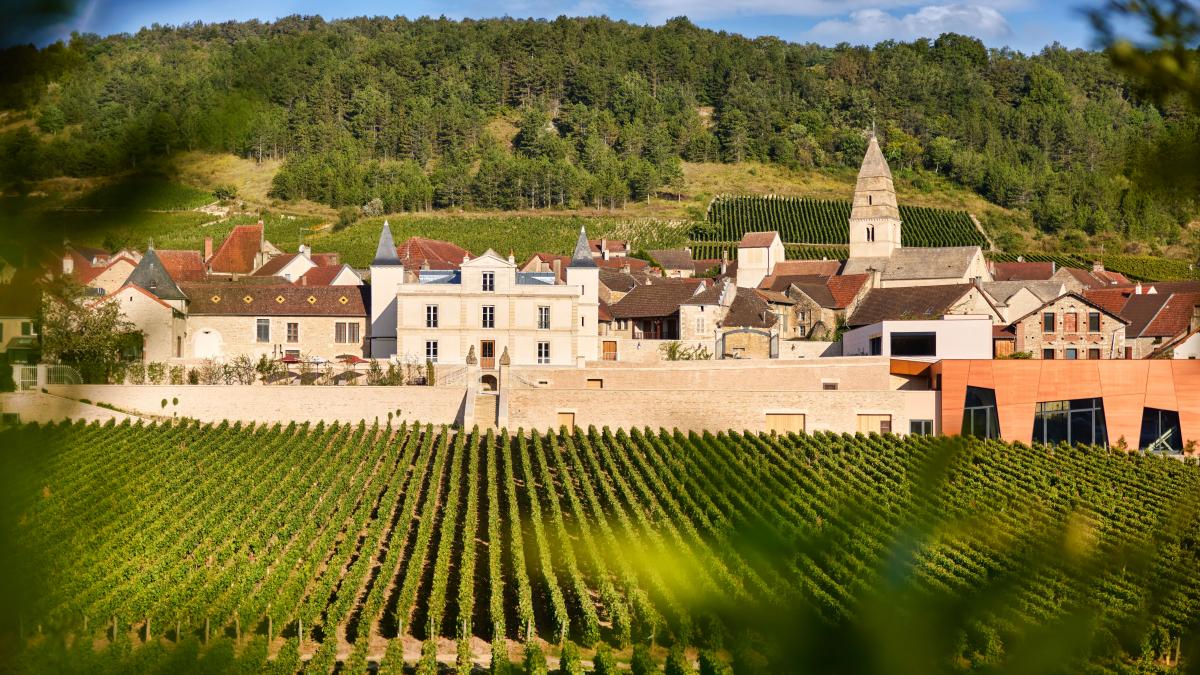 Demande de Brochures | Beaune et le Pays Beaunois Tourisme – Bourgogne