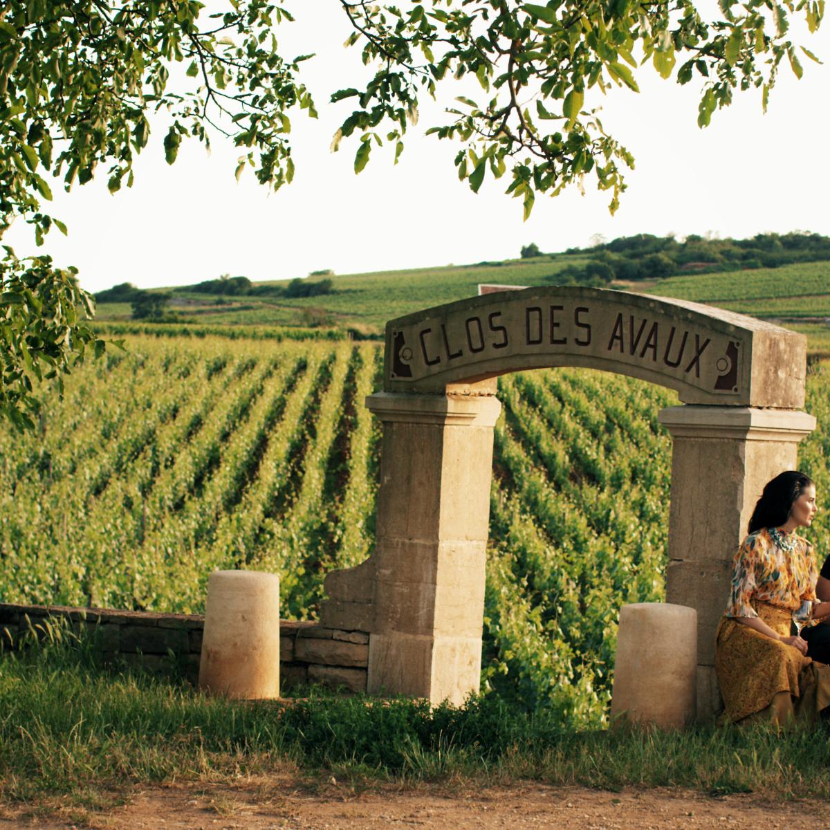Hautes Côtes und Côte de Beaune | Beaune und das Pays Beaunois ...