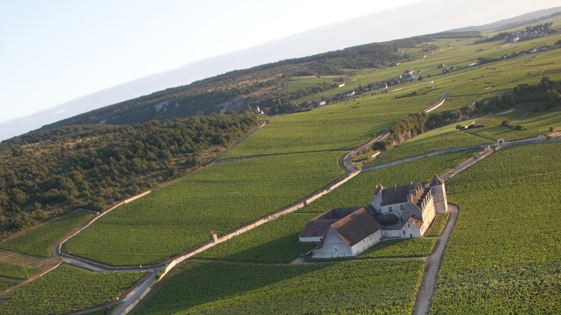 Top Burgundy wine : Clos de Vougeot | Beaune and the Beaune region ...