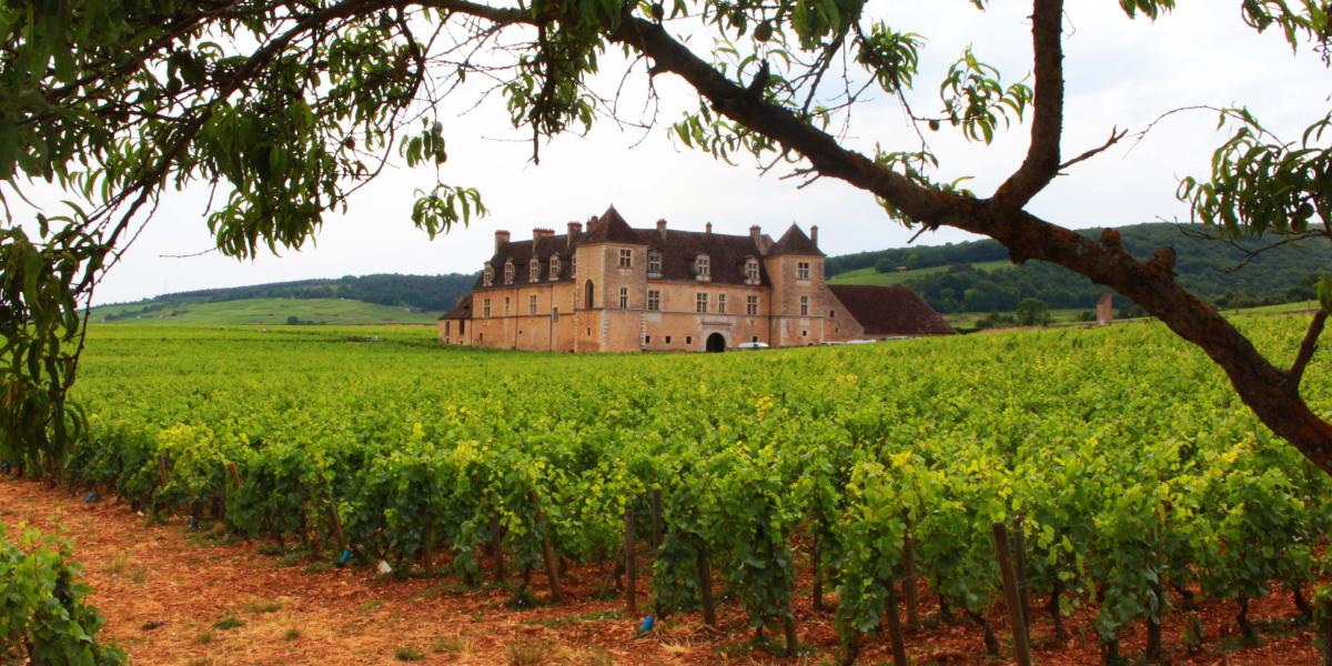 CHATEAU DU CLOS DE VOUGEOT | Beaune and the Beaune region Tourism ...