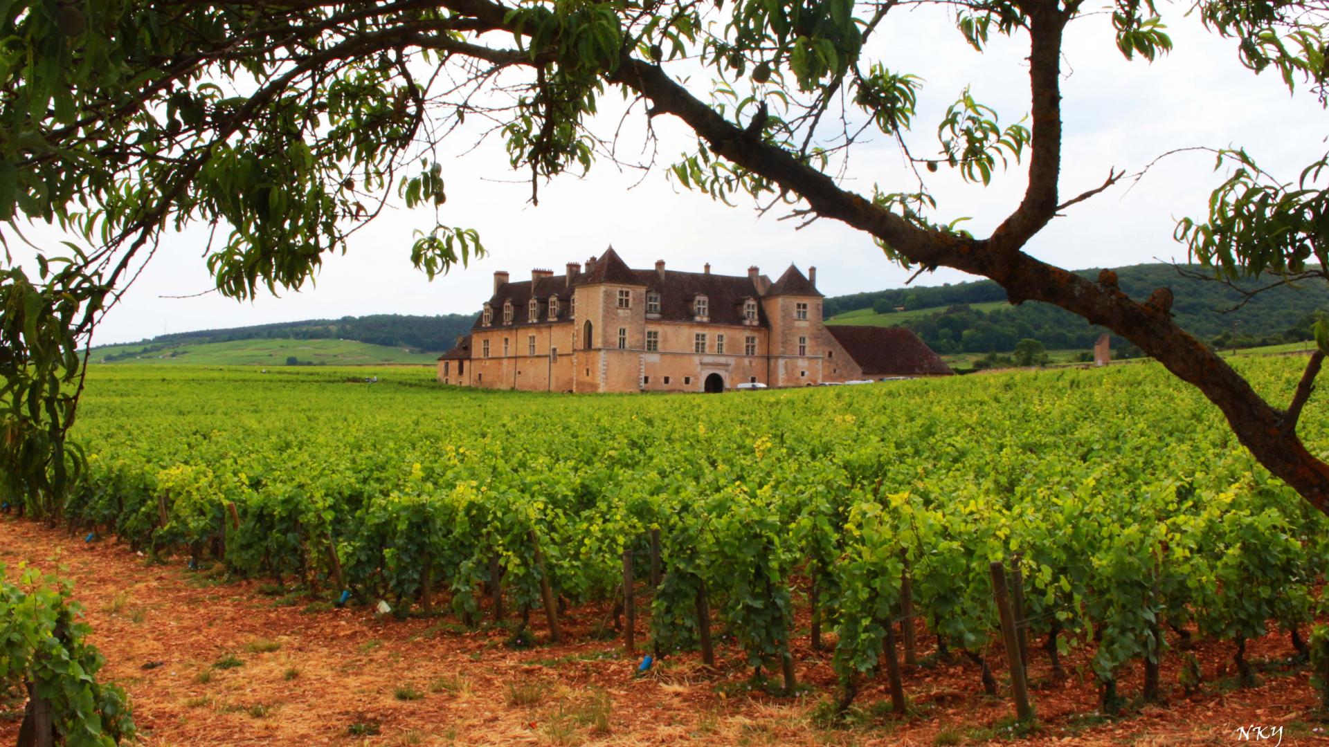 Les Climats du vignoble de Bourgogne | Beaune et le Pays Beaunois ...