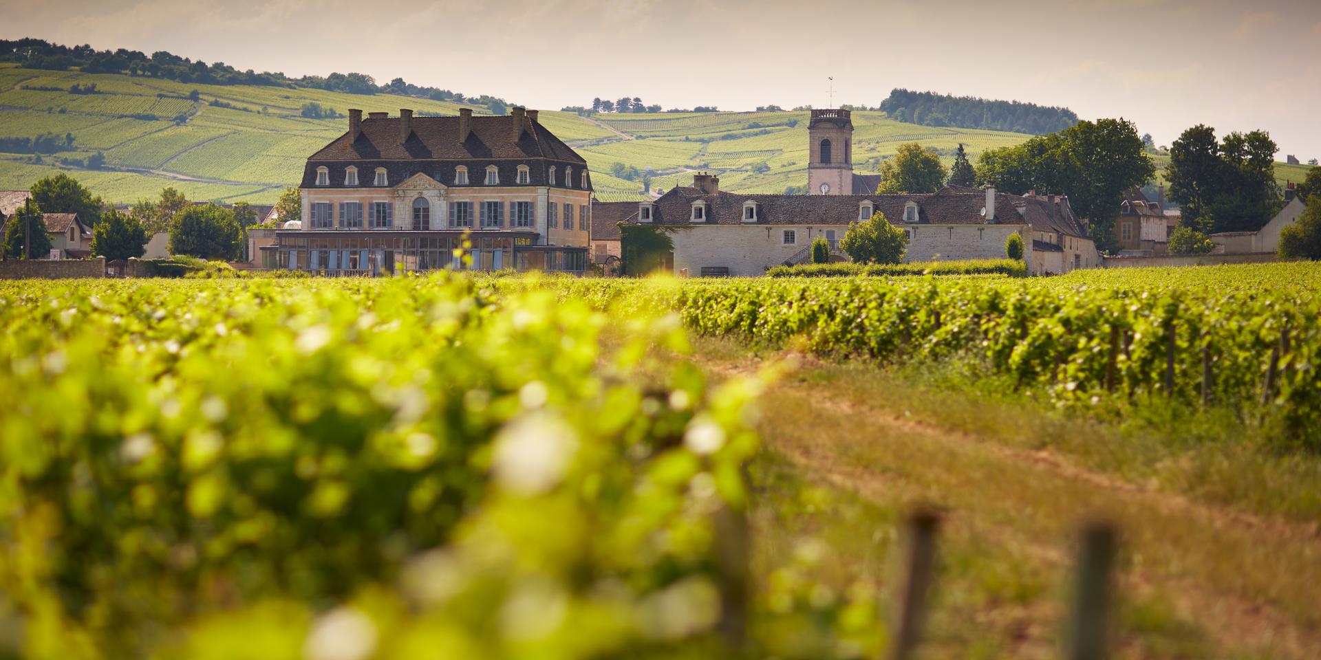 A trip along the Route des Grands Crus | Beaune and the Beaune region ...