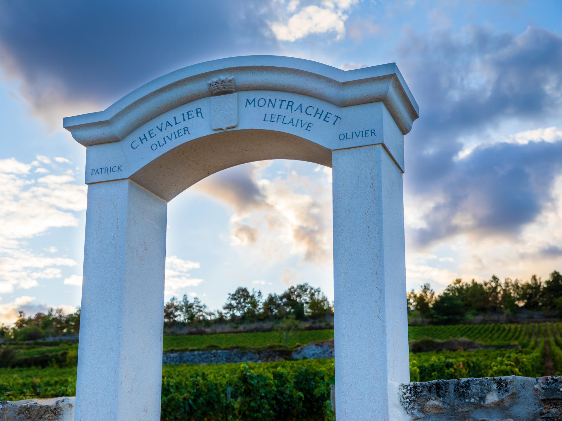 Appellation Montrachet | Beaune and the Beaune region Tourism – Burgundy