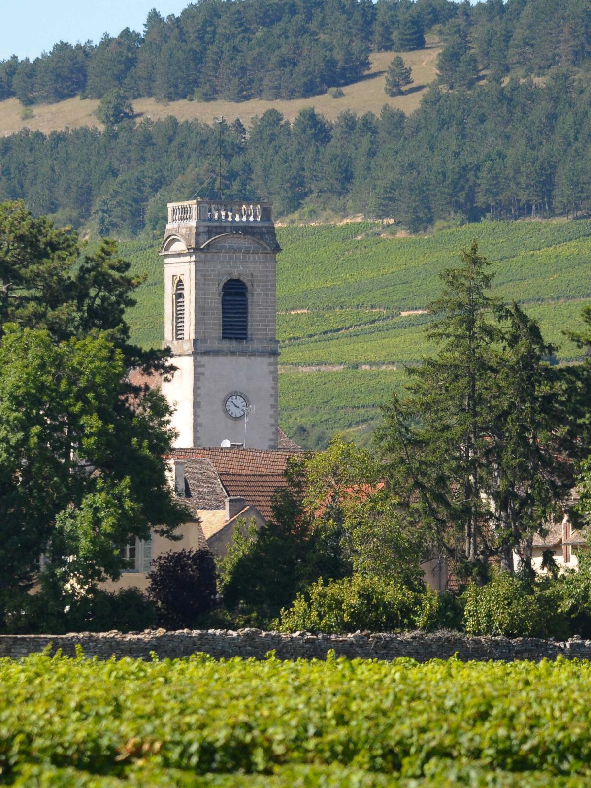 Pommard | Beaune und das Pays Beaunois Tourismus – Burgund