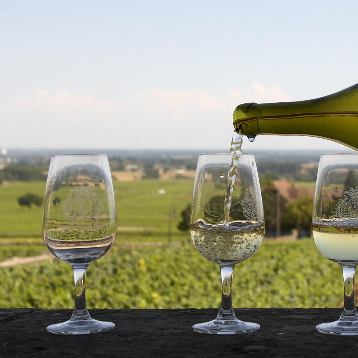 Plan your trip | Beaune and the Beaune region Tourism – Burgundy