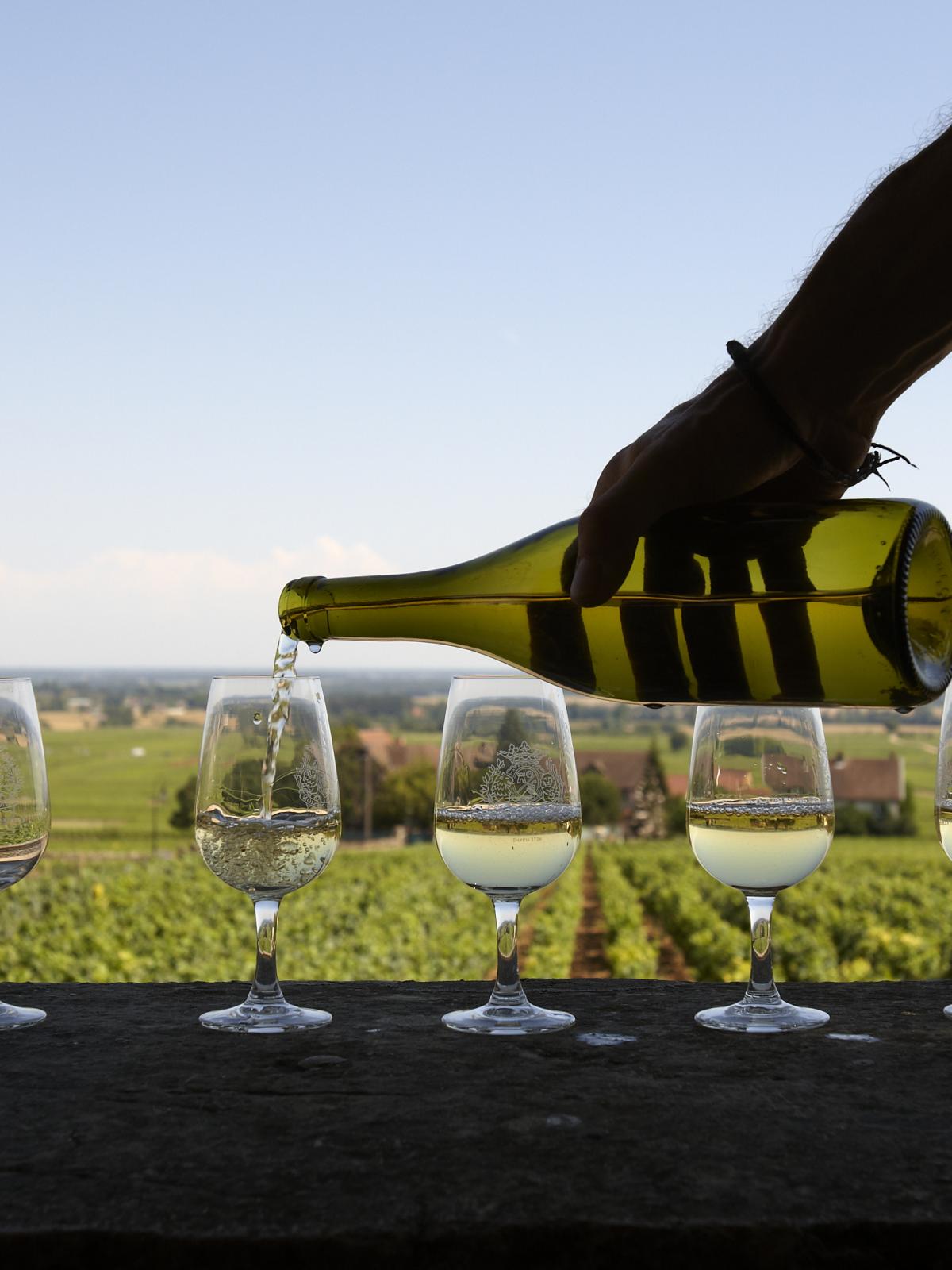 Surprising Burgundy wines | Beaune and the Beaune region Tourism – Burgundy