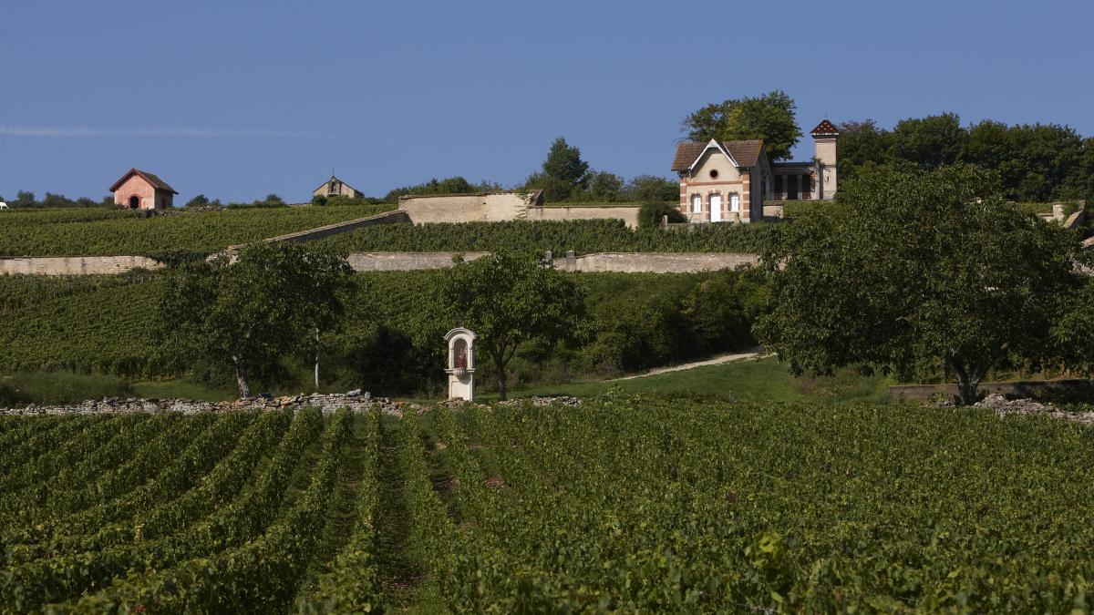 Business tourism | Beaune and the Beaune region Tourism – Burgundy