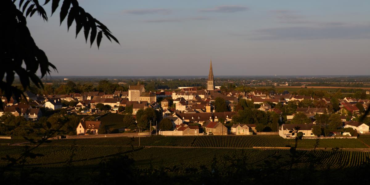 Meursault | Beaune et le Pays Beaunois Tourisme – Bourgogne